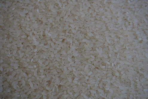 Four Leaf Milling Bio-Dynamic White Medium Grain Rice 1kg (4) – Ethical ...